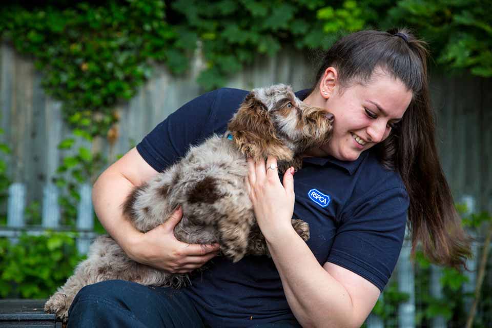 Sponsor Both | RSPCA