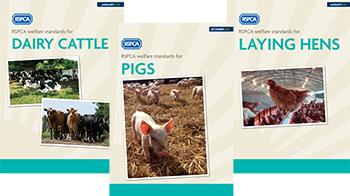 Farm animal welfare standards - Science - Farm animals - rspca.org.uk