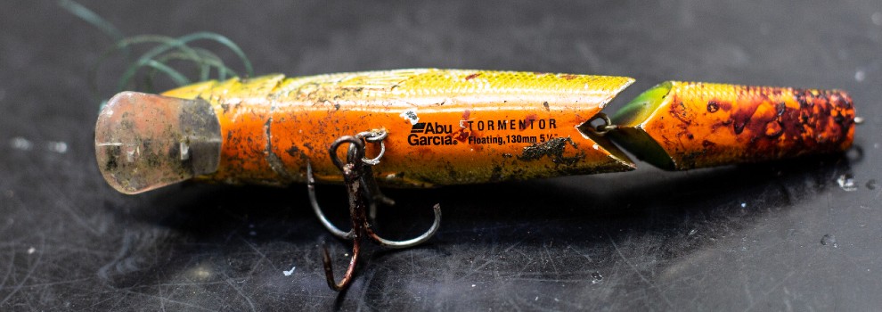 Fishing Litter & Animal Safety | RSPCA