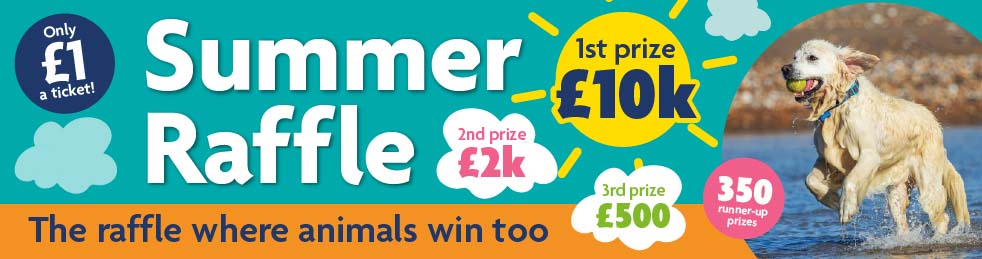 RSPCA charity raffle | RSPCA