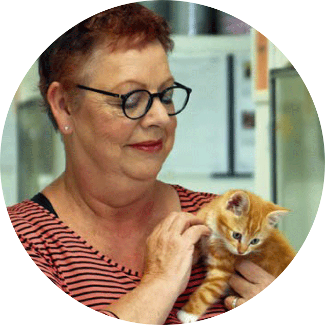 Donate To Charity Online & Support Animals | RSPCA