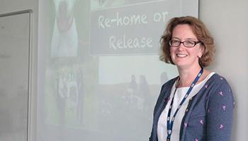 Volunteering with Animals Information | RSPCA - RSPCA - rspca.org.uk