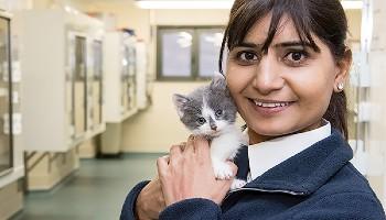 Our blog | RSPCA - RSPCA - rspca.org.uk