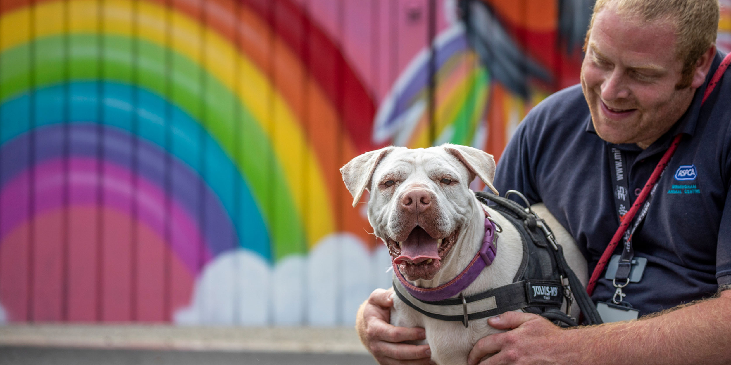 The Largest Animal Welfare Charity in the UK | RSPCA