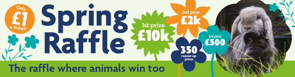 RSPCA charity raffle | RSPCA