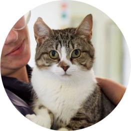 RSPCA Sponsorship | Help animals in need - RSPCA - rspca.org.uk