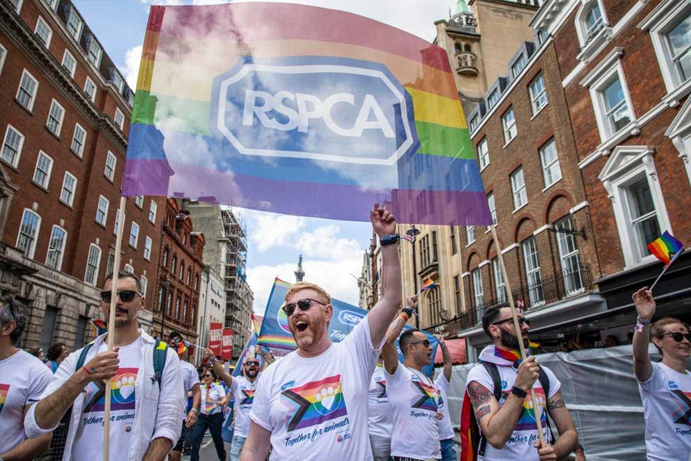 Pride | RSPCA - RSPCA - rspca.org.uk