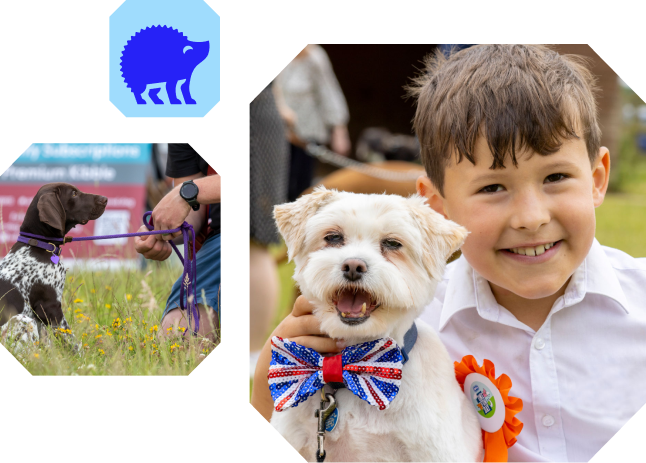 One Fun Day | Family Fun Event | RSPCA - RSPCA - rspca.org.uk