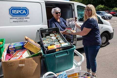 Strategy to 2030 | RSPCA - RSPCA - rspca.org.uk