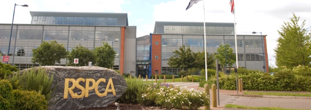 Our executive team | RSPCA