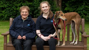 Celebrating Our Amazing Volunteers | RSPCA