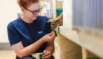 Who we are | RSPCA - RSPCA - rspca.org.uk