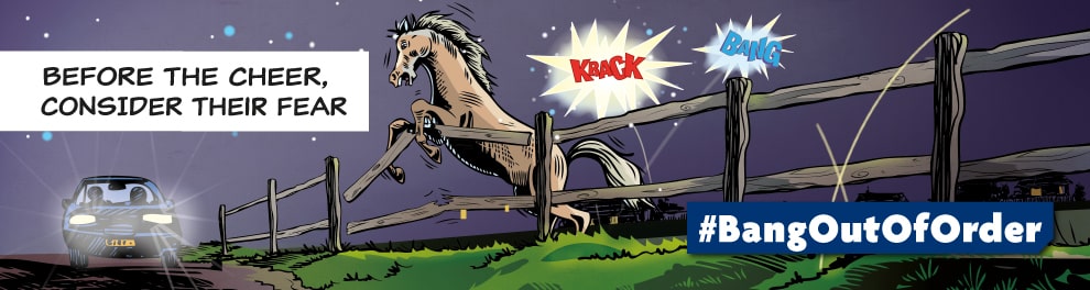 Make Fireworks Less Frightening For Animals | RSPCA