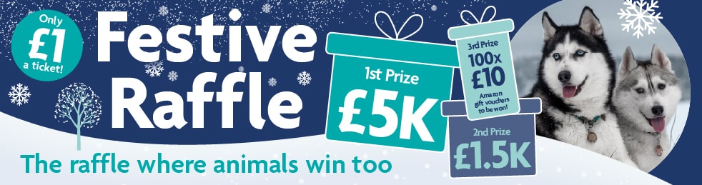 RSPCA charity raffle | RSPCA