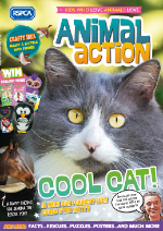 Subscription | rspca.org.uk