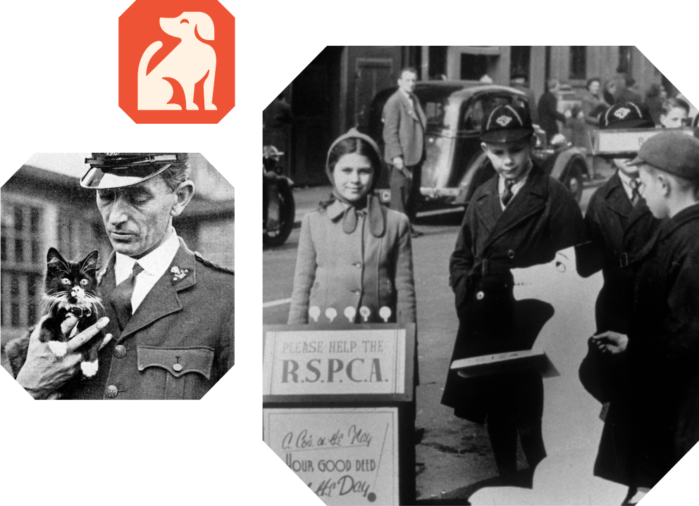 Our history | RSPCA - RSPCA - rspca.org.uk