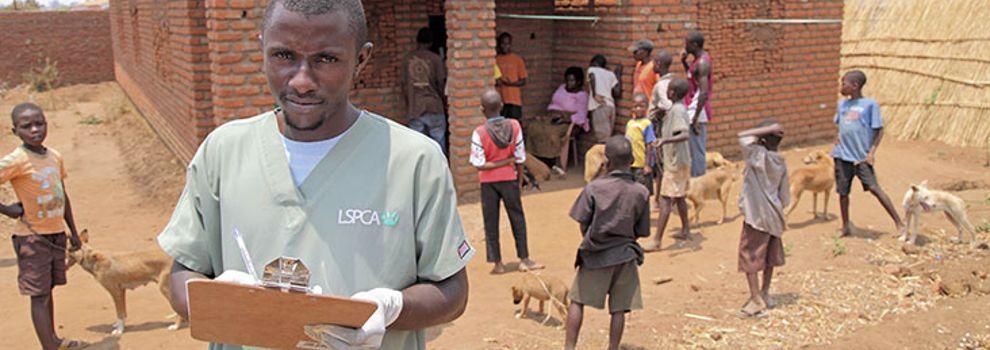 Our international work | RSPCA - RSPCA - rspca.org.uk