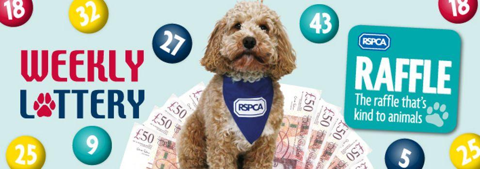 Win | RSPCA - RSPCA - rspca.org.uk