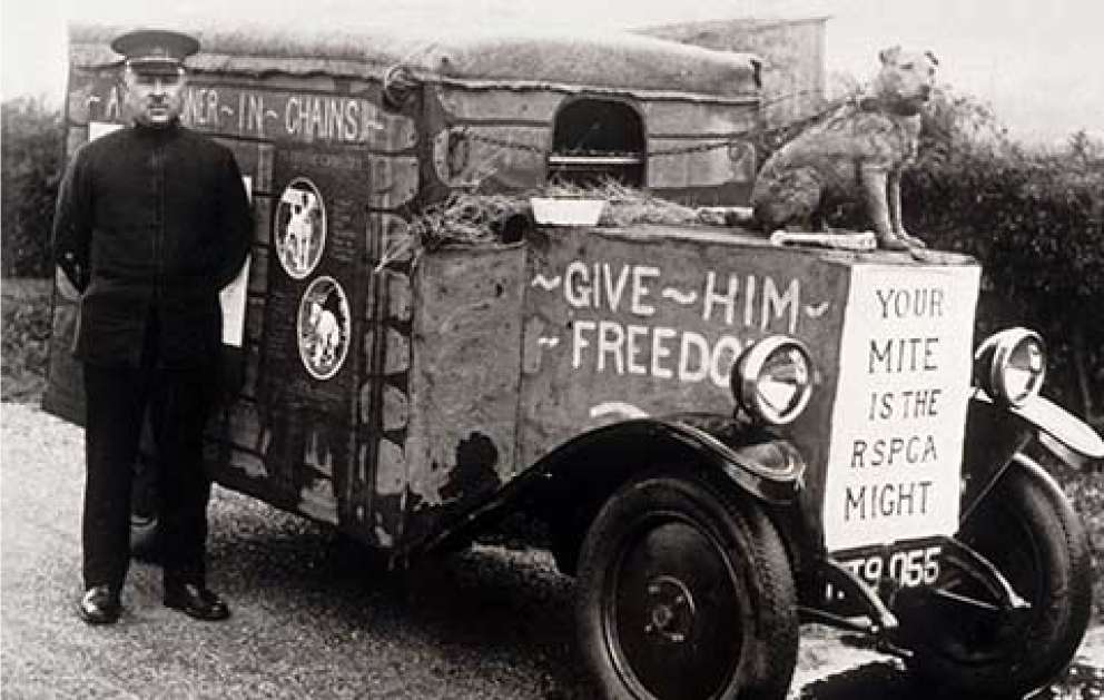 Our history | RSPCA - RSPCA - rspca.org.uk