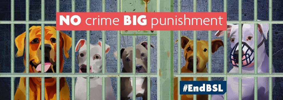 End Breed Specific Legislation | BSL Dogs | RSPCA