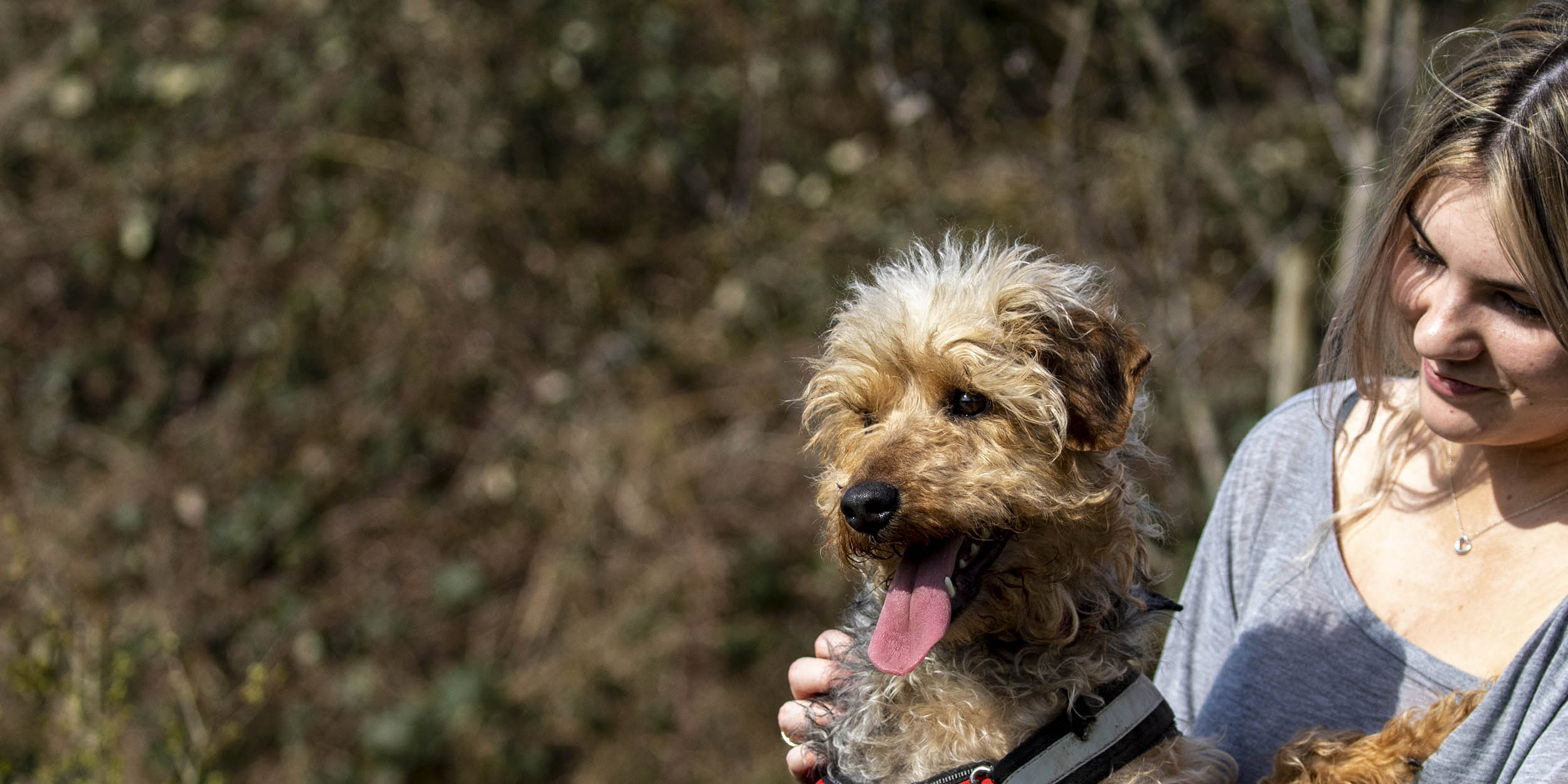 The Largest Animal Welfare Charity in the UK | RSPCA