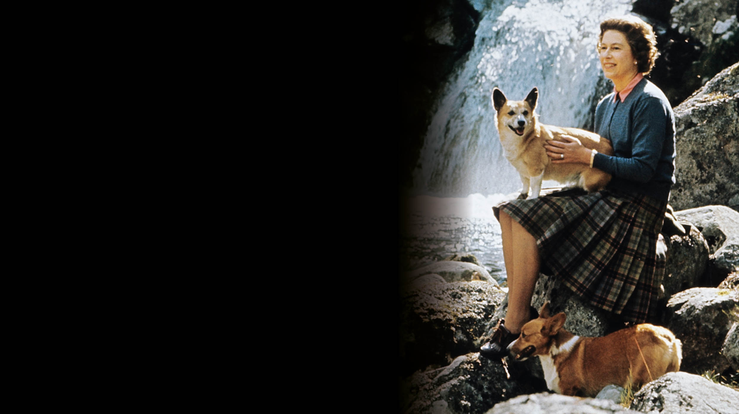 The Largest Animal Welfare Charity in the UK | RSPCA