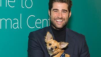 Latest Animal Welfare News, TV Shows & Publications | RSPCA - RSPCA ...