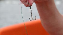 Fishing litter | Angling - RSPCA
