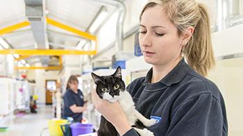 Information for executors | RSPCA