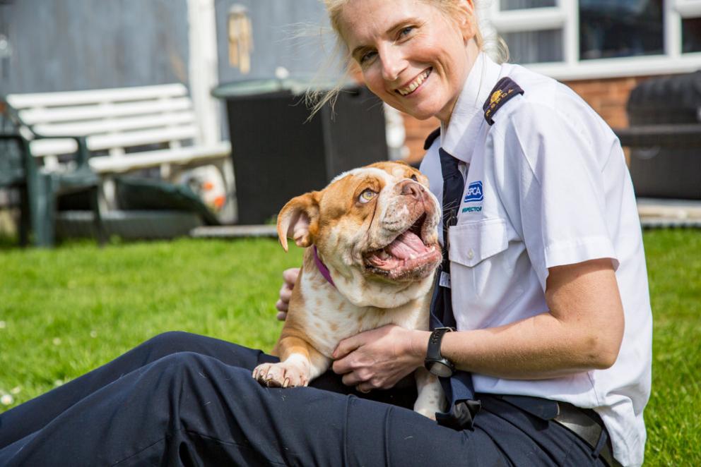 What We Do To Protect & Improve Animal Welfare | RSPCA - RSPCA - rspca ...