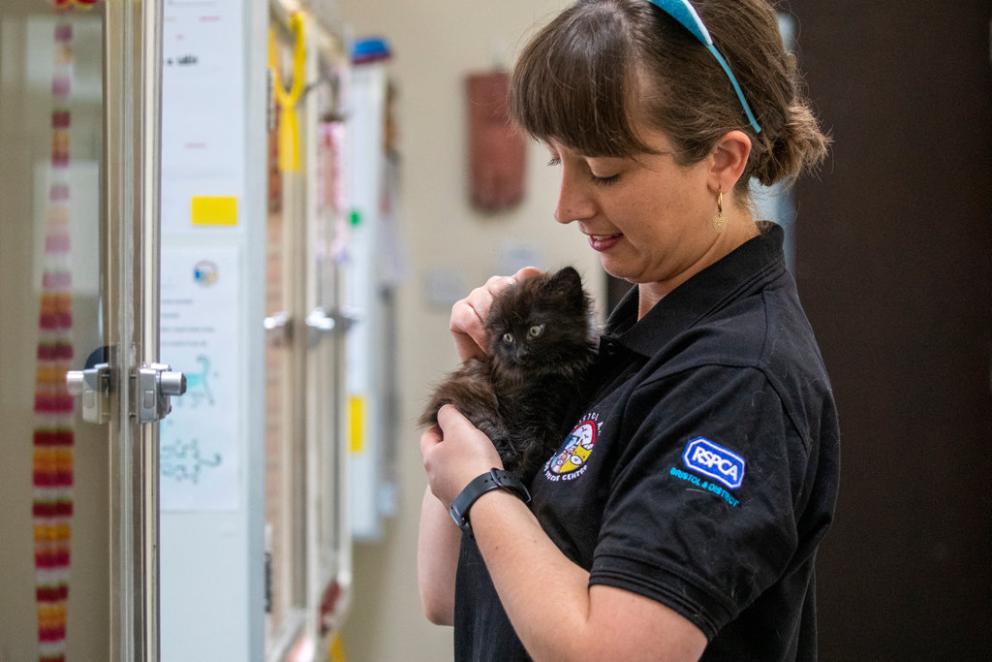 Search | RSPCA - RSPCA - rspca.org.uk