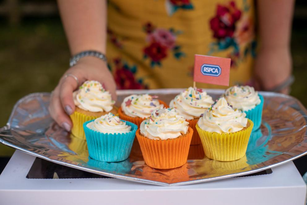 Search | RSPCA - RSPCA - rspca.org.uk