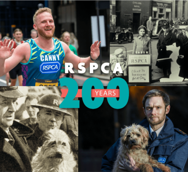 RSPCA 200th Anniversary - RSPCA - rspca.org.uk