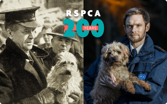 RSPCA 200th Anniversary - RSPCA - rspca.org.uk