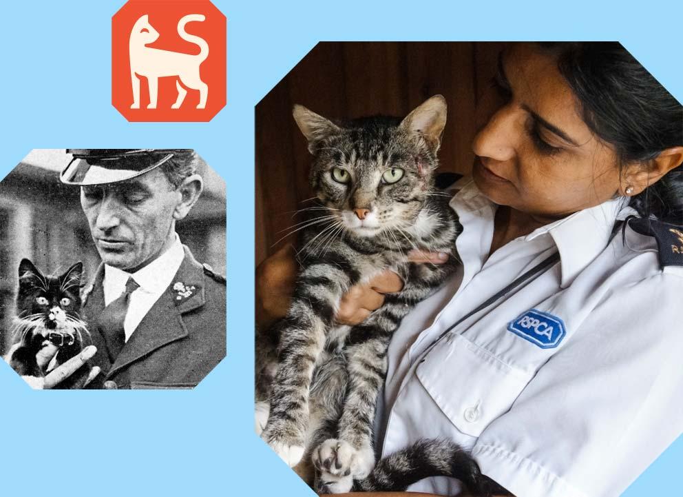 RSPCA 200th Anniversary - RSPCA - rspca.org.uk