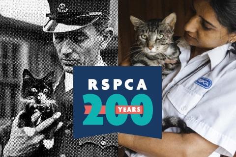 RSPCA 200th Anniversary - RSPCA - rspca.org.uk