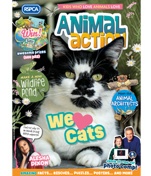 Animal Action Subscription Renewal | RSPCA - RSPCA - rspca.org.uk