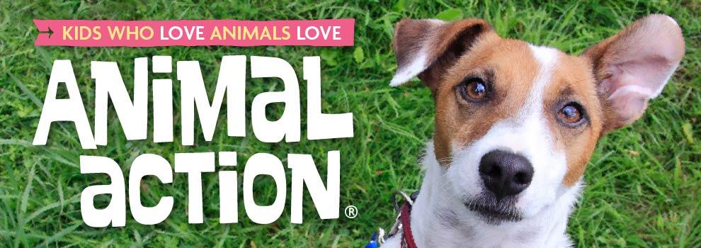 Animal action subscription | RSPCA - RSPCA - rspca.org.uk