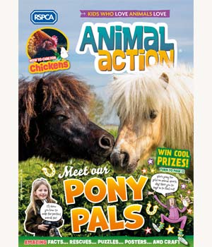 Amazing Animals Action