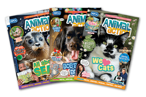 Animal action subscription | RSPCA - RSPCA - rspca.org.uk