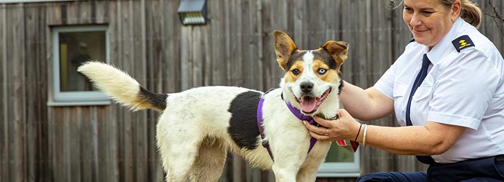Stapeley Grange Wildlife Centre - Home - rspca.org.uk - RSPCA