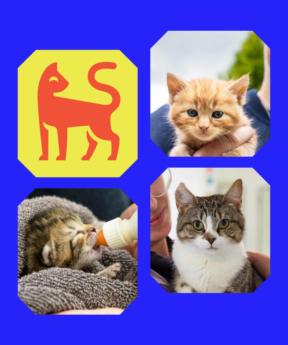 Sponsor RSPCA Cat Pods & Transform Lives - RSPCA - rspca.org.uk