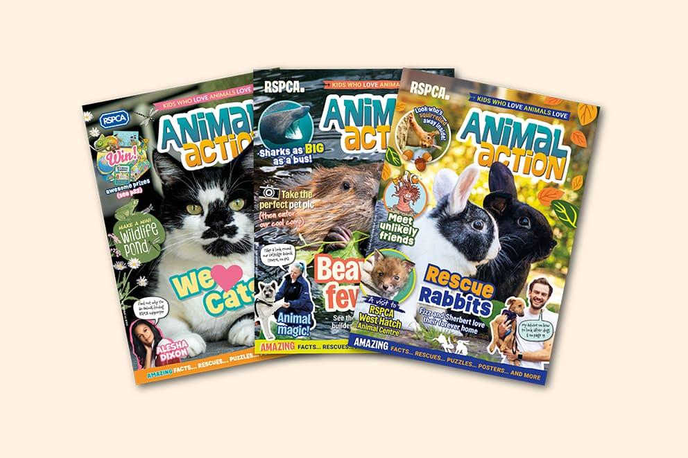 Animal action subscription | RSPCA - RSPCA - rspca.org.uk