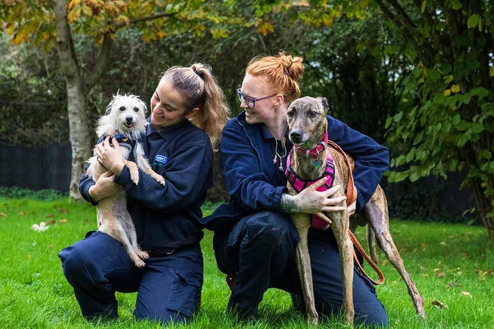 What We Do To Protect & Improve Animal Welfare | RSPCA - RSPCA - rspca ...