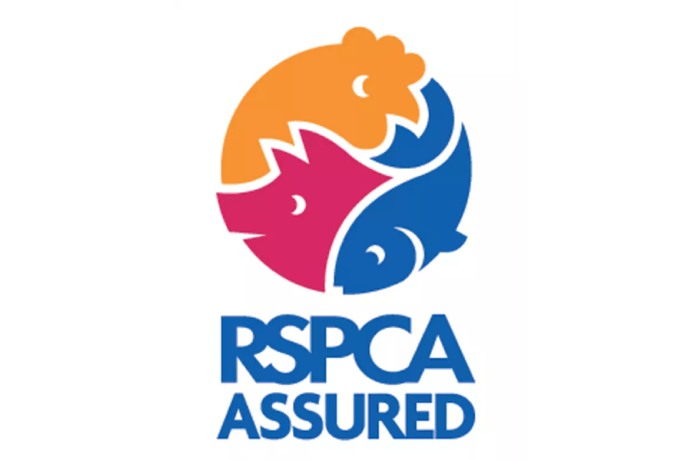 The Largest Animal Welfare Charity in the UK | RSPCA - RSPCA - rspca.org.uk