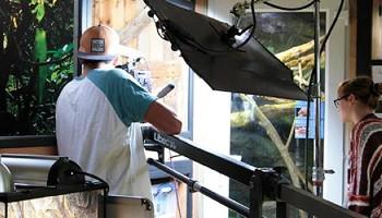 Performing Animal Welfare Advice | RSPCA - RSPCA - rspca.org.uk