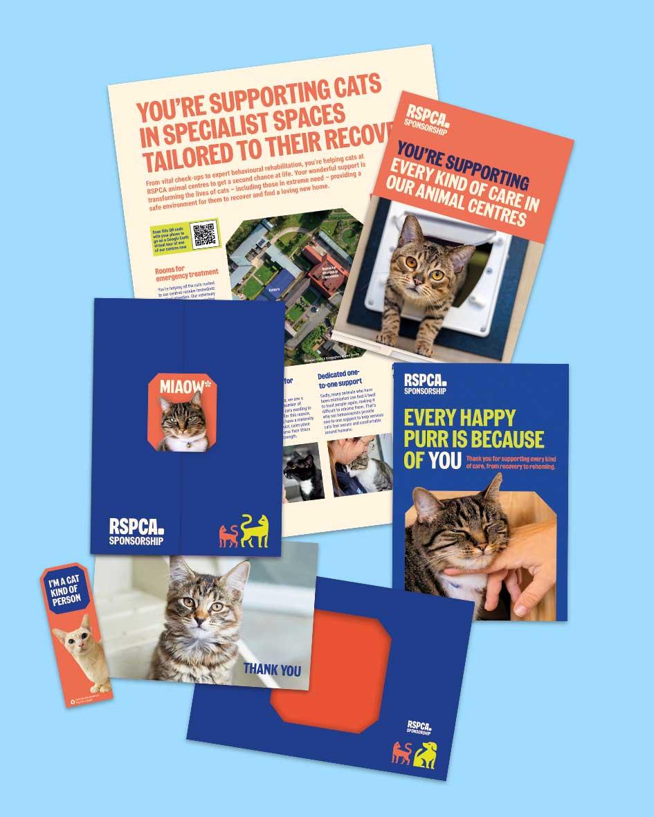 Sponsor RSPCA Cat Pods & Transform Lives - RSPCA - rspca.org.uk