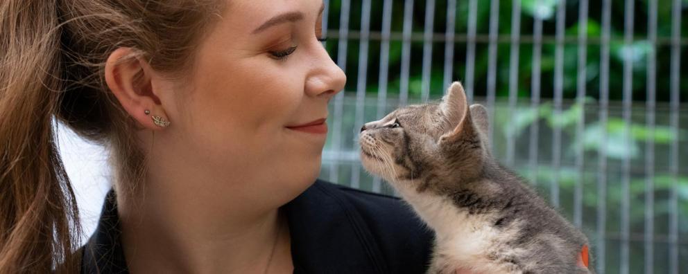 Sponsor RSPCA Cat Pods & Transform Lives - RSPCA - rspca.org.uk