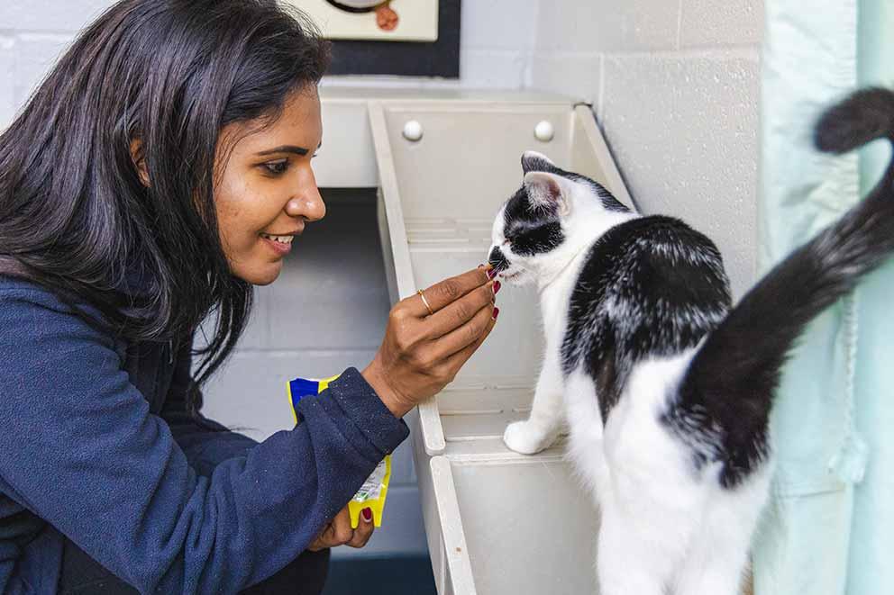 Support our animal charity & get involved today | RSPCA - RSPCA - rspca ...