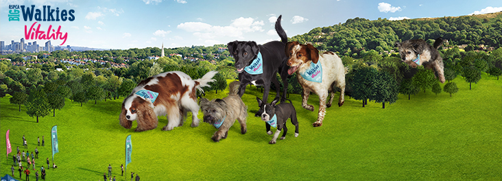 Royal Society for the Prevention of Cruelty to Animals | RSPCA - rspca ...